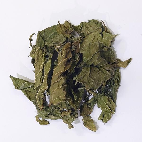 ※50ｇでTシャツ1枚、または大き目のストール1本を染めることができます（素材や染め方よって濃度や色味が異なります）。【 桑葉での染め方】(1) クワ（桑葉） をステンレスかホーローの鍋に入れ、水を加えて中火で約40分ほど焚いて染料を作りま...