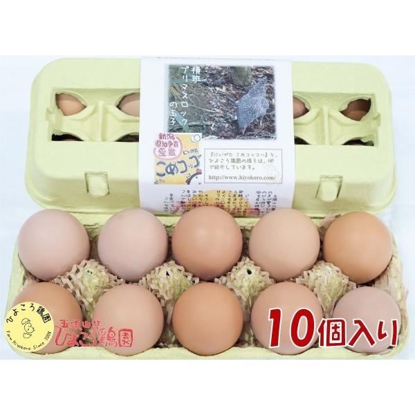 ひよころ鶏園の開園以来飼養を続けている鶏です。独特の白と黒のさざ波模様とコロコロとよく太った美しい姿から『碁石』とも呼ばれます。当鶏園の卵でもし迷われたら、甘みの強い横斑プリマスロックをおすすめします。味の中心となる黄身が通常の卵よりひと回...