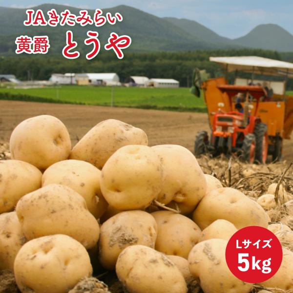 JAきたみらい  北海道産 北見 黄爵 じゃがいも 5kg「とうや」は果肉が黄色く、気品のある味わいが特徴です。 デンプン質は男爵に比べてやや低いものの、デンプン価が低いため粉っぽさがなく、なめらかな舌触りを楽しめます。 煮崩れしずらいので...
