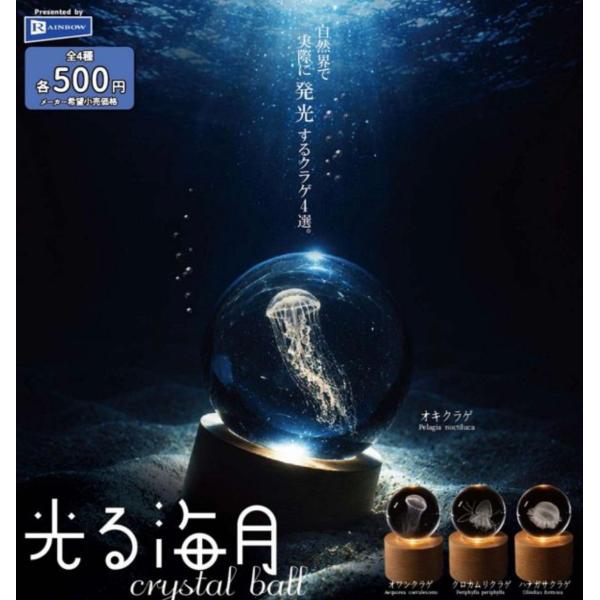 【発売日：2026年11月30日】