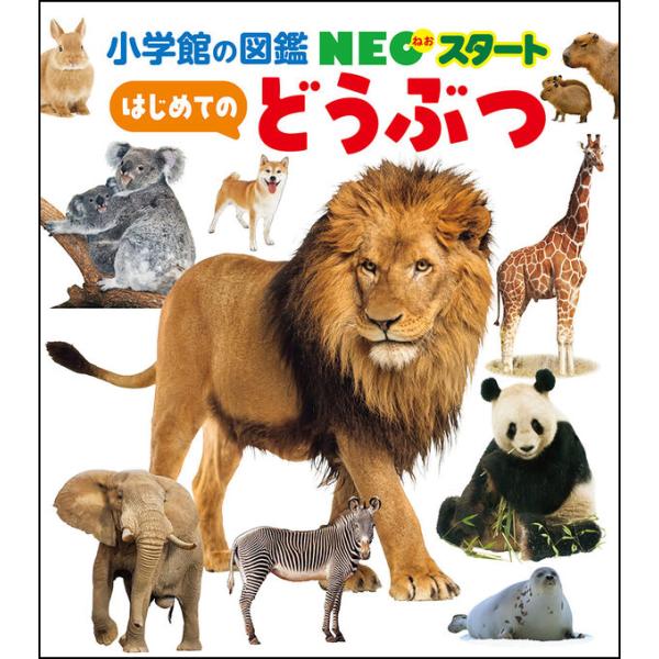2歳から楽しめる「図鑑NEOの入門版」！漢字は一切なし！ 「NEOスタート」は2歳からやさしく覚えられる、図鑑NEOの入門版シリーズです。親子での読み聞かせはもちろん、小さなお子様ひとりでも読み進められます。ライオン、パンダ、ゾウ、イルカ、...