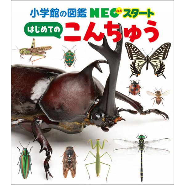 2歳から楽しめる「図鑑NEOの入門版」！漢字は一切なし！ 「NEOスタート」は2歳からやさしく覚えられる、図鑑NEOの入門版シリーズです。親子での読み聞かせはもちろん、小さなお子様ひとりでも読み進められます。約140種類の昆虫が登場！ この...