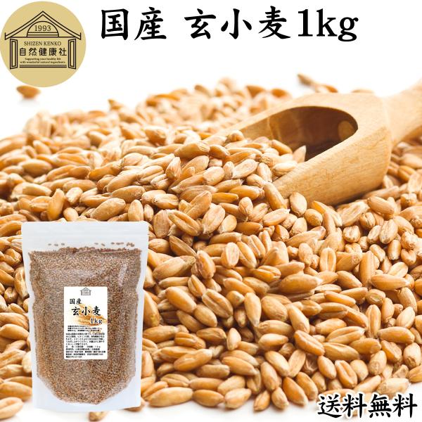 【品名】玄小麦（全粒小麦）【原材料】玄小麦（北海道産｜品種：きたほなみ）【内容量】１ｋｇ（約３３日分。一日に３０ｇを使用した場合）■玄小麦について小麦は世界三大穀物の一つです未精白小麦から作る小麦粉は全粒粉と呼ばれ麩（ふすま）や胚乳、胚芽の...