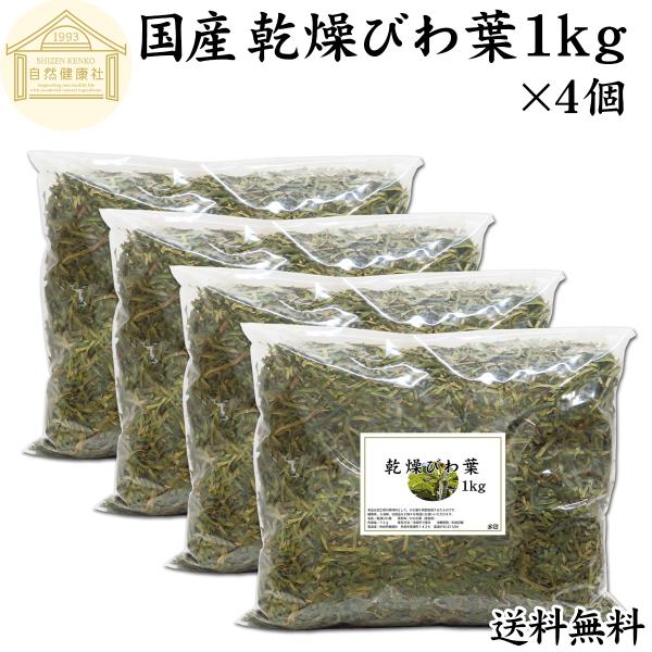 【品名】乾燥びわ葉【原材料】びわ葉（徳島県産）【内容量】１ｋｇ×４個（約２００日分。一日に２０ｇを使用した場合）■枇杷葉（びわ葉）についてびわは温暖な地域で広く栽培される果物で果実は季節のフルーツとして人気ですびわの葉は漢方にも使用され、多...