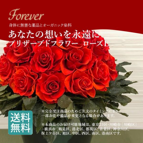 あなたの想いを永遠に。身体に無害な薬品とオーガニック染料を使用。生花を特殊加工して作られるプリザーブドフラワーは、生花のようなみずみずしい美しさを備えながら、ドライフラワーのように長く楽しむことのできる素材です。加工には、オーガニックの染料...