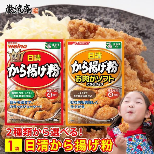 ポイント利用 お試し商品 サンプルポイント消化 カラッとジューシーお肉にまぶすだけ2種類から選べる！日清フーズ から揚げ粉 100g×1袋まぶすだけで手軽な「日清から揚げ粉」と「日清から揚げ粉＜お肉がソフトになるタイプ＞」の2種よりお選びい...