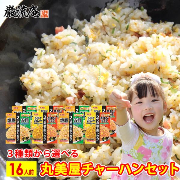 ポイント利用 お試し商品 サンプルポイント消化 3種から選べる 丸美屋 チャーハン セット 16人前 送料無料賞味期限：出荷から180日以上丸美屋のチャーハンの素「焼豚＆五目」と「ドライカレー＆チキンライス」を3つの組み合わせから選べる16...