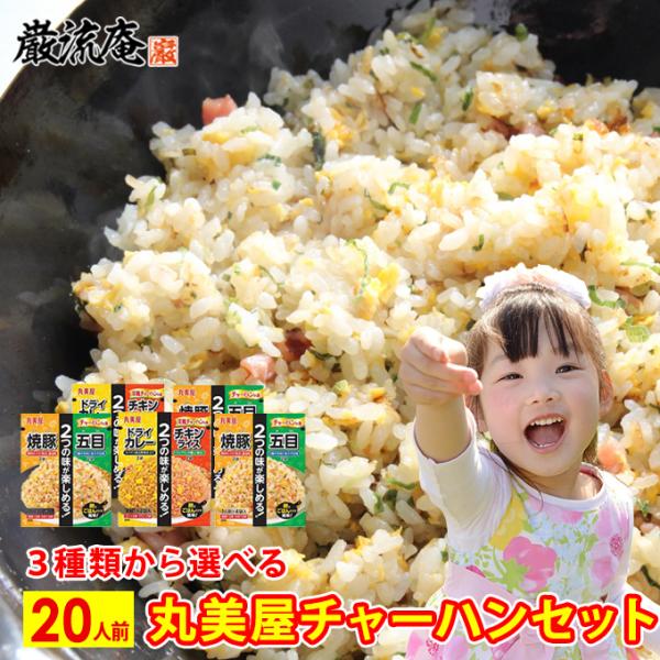 ポイント利用 お試し商品 サンプル ポイント消化 3種から選べる 丸美屋 チャーハン セット 20人前 送料無料賞味期限：出荷から180日以上丸美屋のチャーハンの素「焼豚＆五目」と「ドライカレー＆チキンライス」を3つの組み合わせから選べる2...