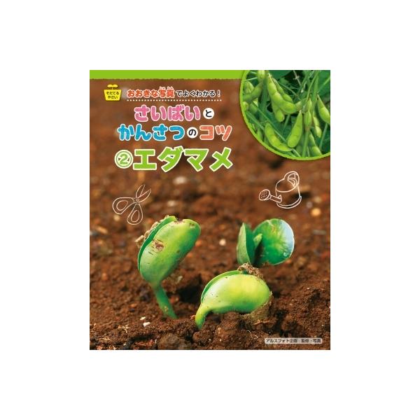 発売日:2020年01月 / ジャンル:ビジネス・経済 / フォーマット:全集・双書 / 出版社:岩崎書店 / 発売国:日本 / ISBN:9784265087624 / アーティストキーワード:アルスフォト企画 内容詳細:目次:たねを用意...
