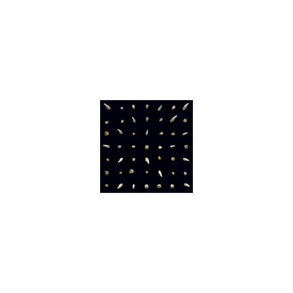 発売日:2020年10月23日 / ジャンル:ダンス＆ソウル / フォーマット:CD / 組み枚数:1 / レーベル:Sub Pop / 発売国:UK / 商品番号:SPCD-1331 / アーティストキーワード:Clipping.