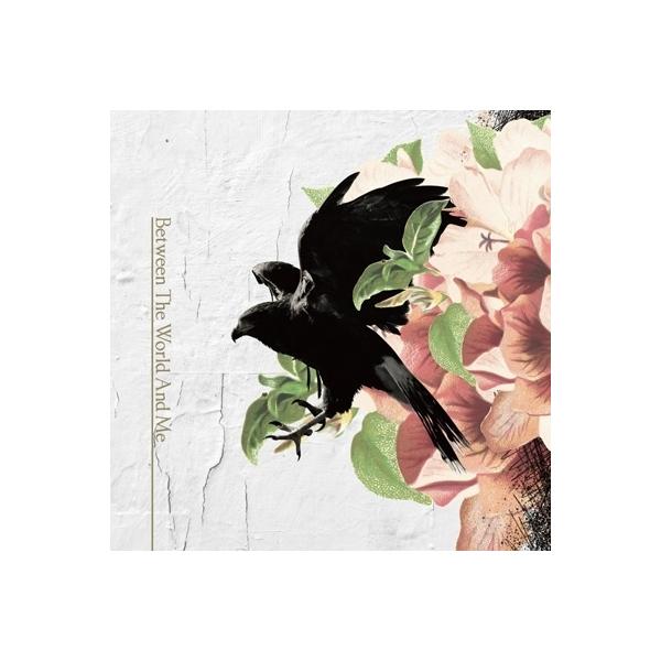 発売日:2021年02月17日 / ジャンル:ジャパニーズポップス / フォーマット:CD / 組み枚数:1 / レーベル:キングレコード / 発売国:日本 / 商品番号:KICS-3962 / アーティストキーワード:Inoran イノラ...