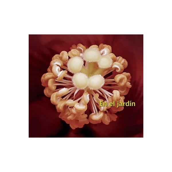 発売日:2021年02月19日 / ジャンル:ワールド / フォーマット:CD / 組み枚数:1 / レーベル:Shagrada Medra / 発売国:日本 / 商品番号:RCIP-0316 / その他:デジパック / アーティストキーワ...