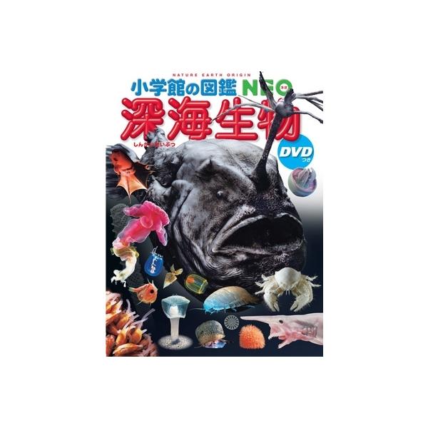 発売日:2021年06月 / ジャンル:物理・科学・医学 / フォーマット:図鑑 / 出版社:小学館 / 発売国:日本 / ISBN:9784092172265 / アーティストキーワード:藤原義弘 内容詳細:掲載種類数最大級！最新の撮り下...