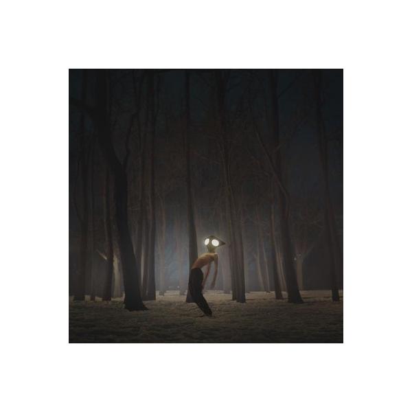 発売日:2021年12月03日 / ジャンル:ロック / フォーマット:LP / 組み枚数:1 / レーベル:Partisan / 発売国:UK / 商品番号:PTPS-05LP / アーティストキーワード:Geese  / タイトルキーワ...