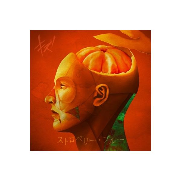 発売日:2021年12月08日 / ジャンル:ジャパニーズポップス / フォーマット:CD Maxi / 組み枚数:1 / レーベル:Damage Jp / 発売国:日本 / 商品番号:DMGD-022B / アーティストキーワード:キズ ...