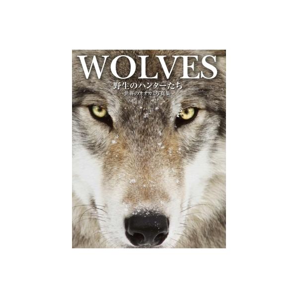 発売日:2022年01月 / ジャンル:アート・エンタメ / フォーマット:本 / 出版社:ホビージャパン / 発売国:日本 / ISBN:9784798626888 / アーティストキーワード:ホビージャパン編集部 ホビージャパン プラモ...