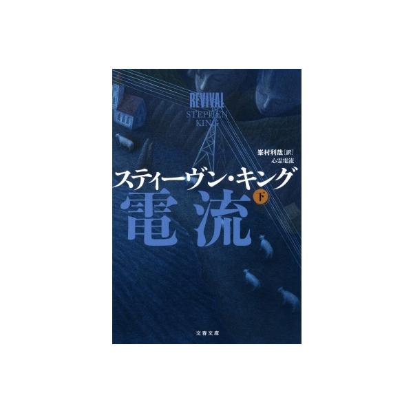 発売日:2022年01月 / ジャンル:文芸 / フォーマット:文庫 / 出版社:文藝春秋 / 発売国:日本 / ISBN:9784167918224 / アーティストキーワード:スティーヴン・キング スティーヴンキング　スティーブンキング...
