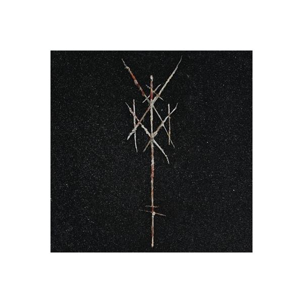 発売日:2022年01月14日 / ジャンル:ロック / フォーマット:CD / 組み枚数:1 / レーベル:Century Media / 発売国:Europe / 商品番号:19439871372 / アーティストキーワード:Wiege...