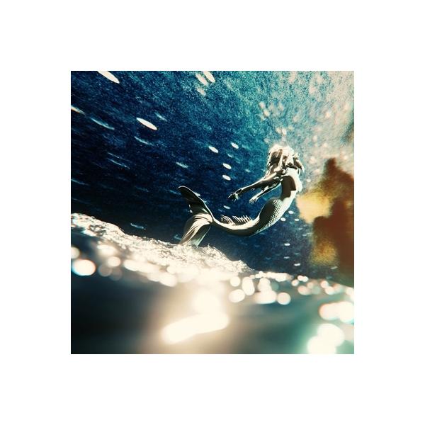 発売日:2022年03月09日 / ジャンル:ジャパニーズポップス / フォーマット:CD / 組み枚数:1 / レーベル:Papercloud / 発売国:日本 / 商品番号:PPCL-1000 / アーティストキーワード:Papercl...