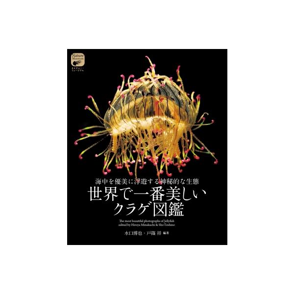 発売日:2022年04月 / ジャンル:物理・科学・医学 / フォーマット:本 / 出版社:誠文堂新光社 / 発売国:日本 / ISBN:9784416522233 / アーティストキーワード:水口博也 内容詳細:目次:揺蕩う―クラゲを見る...