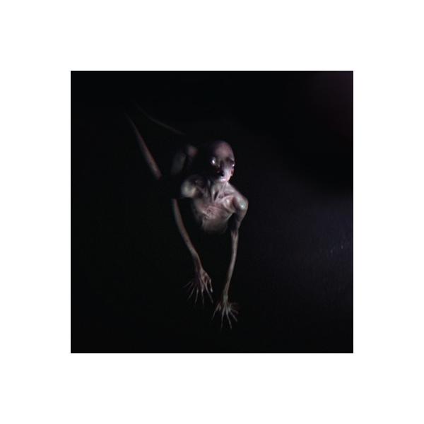 発売日:2022年04月08日 / ジャンル:ロック / フォーマット:BLU-RAY DISC / 組み枚数:1 / レーベル:Rca / 発売国:USA / 商品番号:19439948419 / その他:限定盤 / アーティストキーワー...