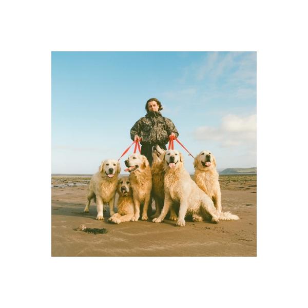 発売日:2022年08月09日 / ジャンル:ダンス＆ソウル / フォーマット:LP / 組み枚数:2 / レーベル:Vmlas / 発売国:International / 商品番号:4536644 / アーティストキーワード:Mall Grab