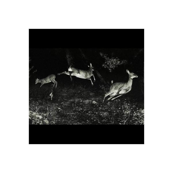 発売日:2022年06月24日 / ジャンル:ダンス＆ソウル / フォーマット:CD / 組み枚数:1 / レーベル:Houndstooth / 発売国:UK / 商品番号:HTH-153CD / アーティストキーワード:Wordcolou...