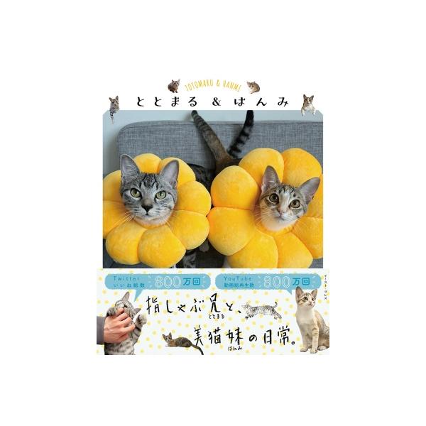 発売日:2022年08月 / ジャンル:アート・エンタメ / フォーマット:本 / 出版社:イースト・プレス / 発売国:日本 / ISBN:9784781621098 / アーティストキーワード:ととまるはんみパパ(仮)  / タイトルキ...