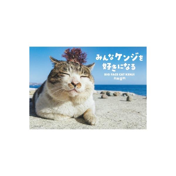 発売日:2022年08月 / ジャンル:アート・エンタメ / フォーマット:本 / 出版社:河出書房新社 / 発売国:日本 / ISBN:9784309292120 / アーティストキーワード:土肥美帆  / タイトルキーワード:ねこ ネコ...