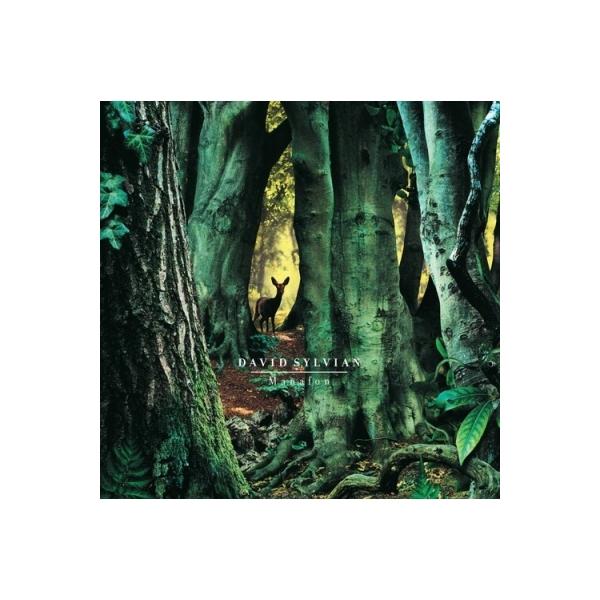 発売日:2022年09月02日 / ジャンル:ロック / フォーマット:LP / 組み枚数:2 / レーベル:Umc / 発売国:Europe / 商品番号:3876876 / アーティストキーワード:David Sylvian デビッドシ...