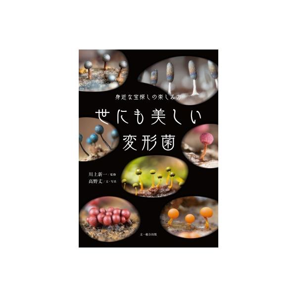発売日:2022年09月 / ジャンル:物理・科学・医学 / フォーマット:本 / 出版社:文一総合出版 / 発売国:日本 / ISBN:9784829972427 / アーティストキーワード:川上新一 内容詳細:目が覚めるほどあざやかな色...