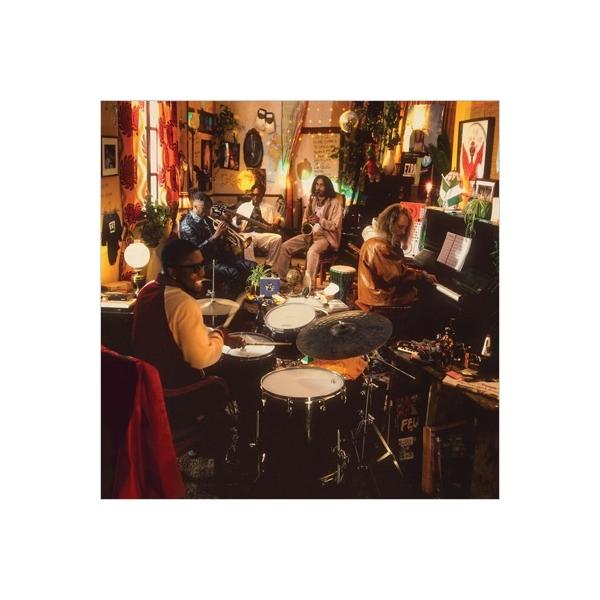 発売日:2022年11月04日 / ジャンル:ダンス＆ソウル / フォーマット:CD / 組み枚数:1 / レーベル:Partisan / 発売国:UK / 商品番号:PTKF-3020-2 / アーティストキーワード:Ezra Colle...