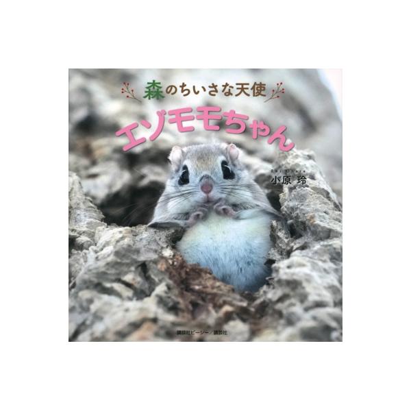 発売日:2022年11月 / ジャンル:アート・エンタメ / フォーマット:本 / 出版社:講談社ビーシー / 発売国:日本 / ISBN:9784065297292 / アーティストキーワード:小原玲 内容詳細:大好きな生き物たちを守りた...