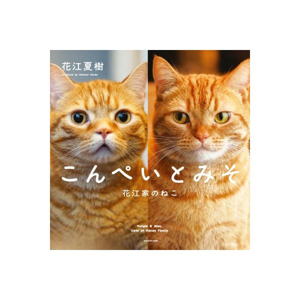 発売日:2022年11月 / ジャンル:アート・エンタメ / フォーマット:本 / 出版社:Kadokawa / 発売国:日本 / ISBN:9784046802163 / アーティストキーワード:花江夏樹 声優 / タイトルキーワード:猫...