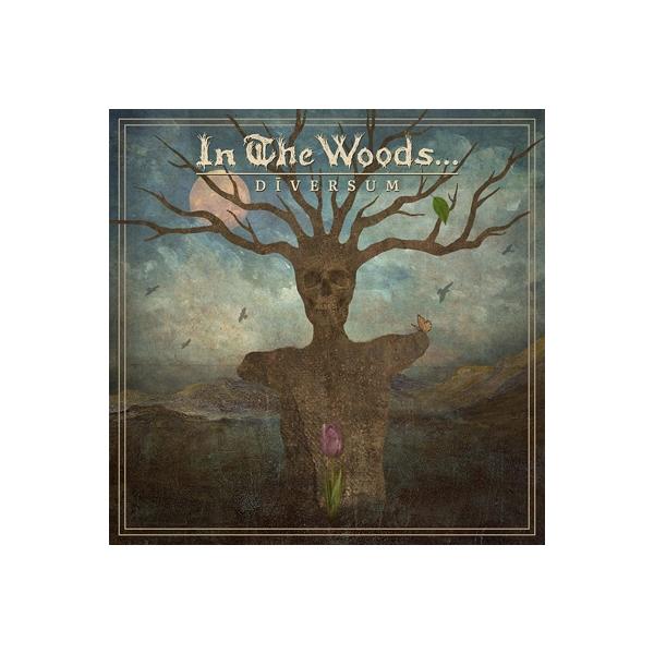 発売日:2022年11月25日 / ジャンル:ロック / フォーマット:CD / 組み枚数:1 / レーベル:Snow Wave / 発売国:UK / 商品番号:SSR-177 / アーティストキーワード:In The Woods イン・ザ...