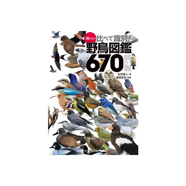 発売日:2023年02月 / ジャンル:物理・科学・医学 / フォーマット:図鑑 / 出版社:文一総合出版 / 発売国:日本 / ISBN:9784829972410 / アーティストキーワード:永井真人 (鳥くん) 内容詳細:フィールドで...