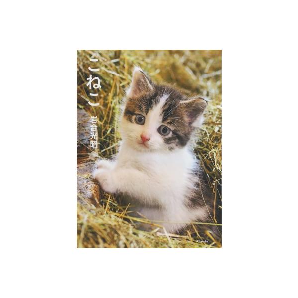 発売日:2023年02月 / ジャンル:アート・エンタメ / フォーマット:文庫 / 出版社:クレヴィス / 発売国:日本 / ISBN:9784909532930 / アーティストキーワード:岩合光昭