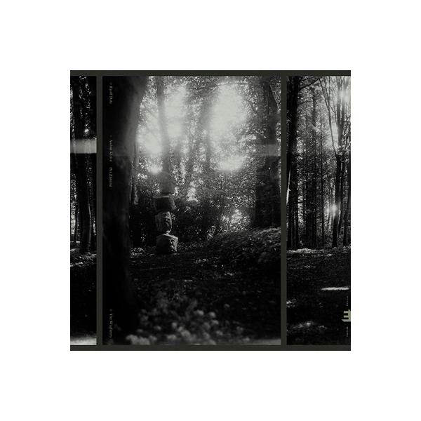 発売日:2023年02月17日 / ジャンル:ジャズ / フォーマット:CD / 組み枚数:1 / レーベル:Edition Records / 発売国:日本 / 商品番号:RCIP-0340 / アーティストキーワード:Eyolf Dal...