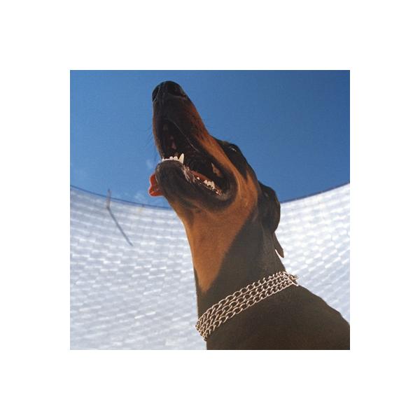 発売日:2023年05月12日 / ジャンル:ダンス＆ソウル / フォーマット:CD / 組み枚数:1 / レーベル:Xl / 発売国:Europe / 商品番号:XL-1300CD / アーティストキーワード:Overmono  / タイ...