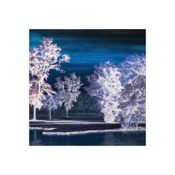 発売日:2023年03月31日 / ジャンル:ジャズ / フォーマット:CD / 組み枚数:1 / レーベル:Pyroclastic / 発売国:USA / 商品番号:24 / アーティストキーワード:Ingrid Laubrock