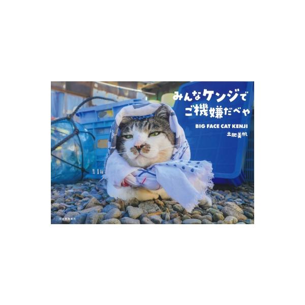 発売日:2023年09月 / ジャンル:アート・エンタメ / フォーマット:本 / 出版社:河出書房新社 / 発売国:日本 / ISBN:9784309257129 / アーティストキーワード:土肥美帆 内容詳細:北海道のなまらデッカイ猫・...