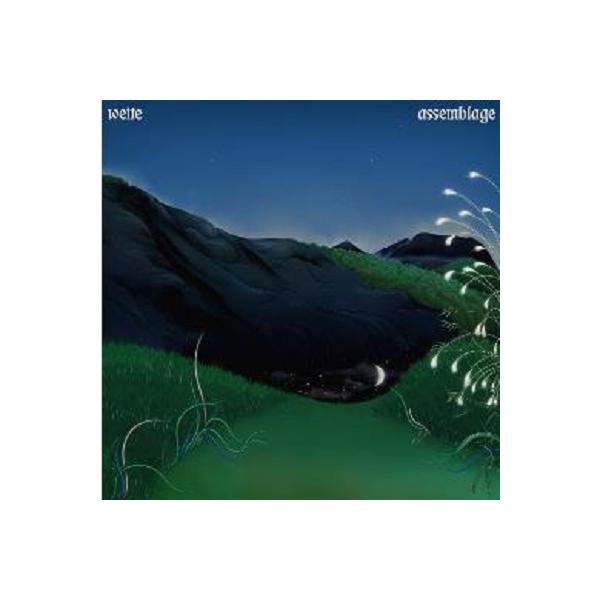 発売日:2023年09月10日 / ジャンル:ロック / フォーマット:LP / 組み枚数:1 / レーベル:Stickman / 発売国:Europe / 商品番号:PSYCHOBABBLE-131 / その他:限定盤 / アーティストキ...