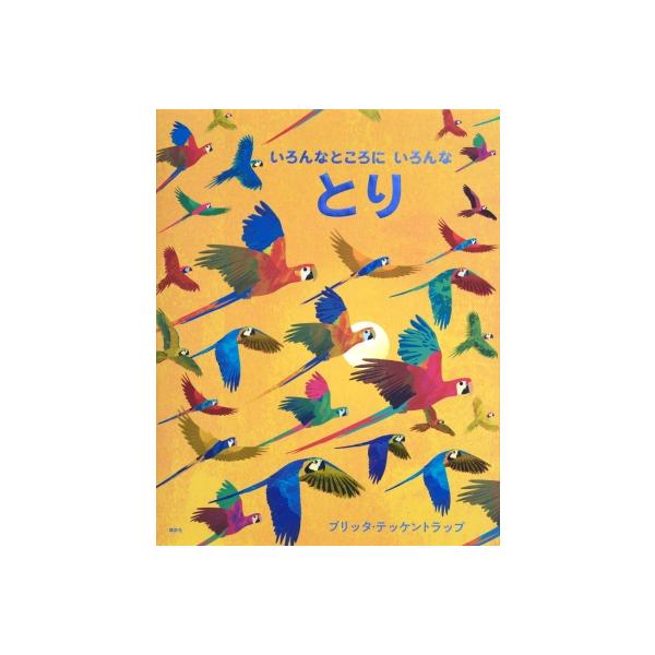 発売日:2023年11月 / ジャンル:物理・科学・医学 / フォーマット:絵本 / 出版社:講談社 / 発売国:日本 / ISBN:9784065331316 / アーティストキーワード:ブリッタ・テッケントラップ 内容詳細:双眼鏡をもっ...