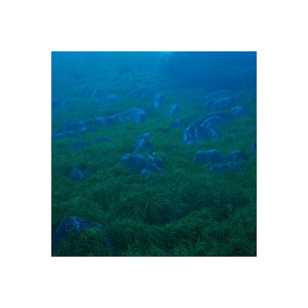 発売日:2023年11月29日 / ジャンル:ジャパニーズポップス / フォーマット:CD / 組み枚数:1 / レーベル:Conditioner Label / 発売国:日本 / 商品番号:CNDT-0002 / アーティストキーワード:...