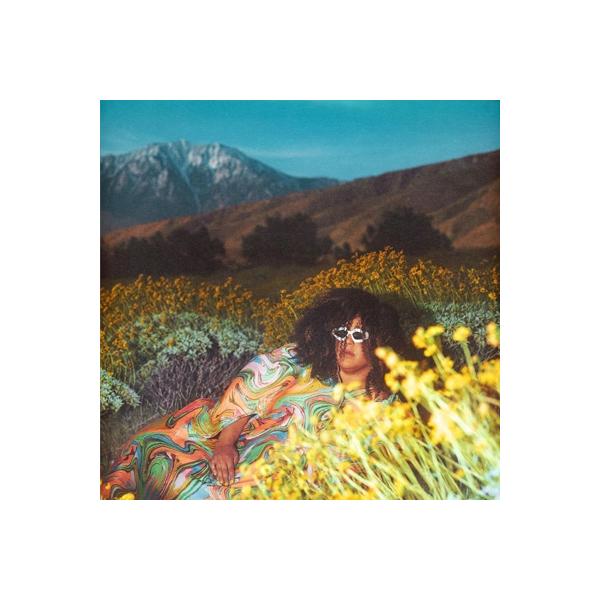 発売日:2024年02月09日 / ジャンル:ロック / フォーマット:CD / 組み枚数:1 / レーベル:Island / 発売国:International / 商品番号:5876901 / アーティストキーワード:Brittany ...