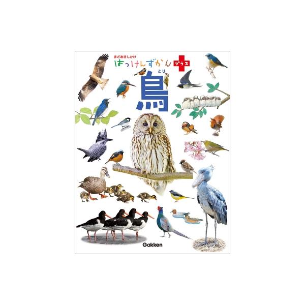 発売日:2024年02月 / ジャンル:物理・科学・医学 / フォーマット:図鑑 / 出版社:Ｇａｋｋｅｎ / 発売国:日本 / ISBN:9784052056109 / アーティストキーワード:おおたぐろまり 内容詳細:鳥たちに会いにさあ...