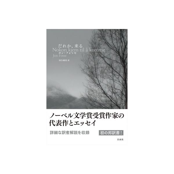 発売日:2023年12月 / ジャンル:アート・エンタメ / フォーマット:本 / 出版社:白水社 / 発売国:日本 / ISBN:9784560093979 / アーティストキーワード:ヨン・フォッセ 内容詳細:ノーベル文学賞受賞作家の代...