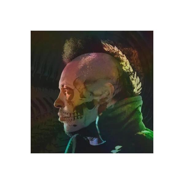 発売日:2024年03月29日 / ジャンル:ダンス＆ソウル / フォーマット:LP / 組み枚数:1 / レーベル:Brainfeeder / 発売国:Europe / 商品番号:BF-040X / その他:リイシュー, デラックスエディ...