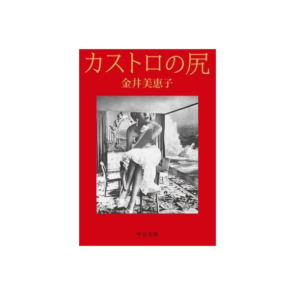発売日:2024年02月 / ジャンル:文芸 / フォーマット:文庫 / 出版社:中央公論新社 / 発売国:日本 / ISBN:9784122074811 / アーティストキーワード:金井美恵子 内容詳細:ある本の一部から揺り動かされた記憶...