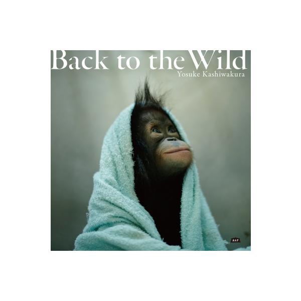 発売日:2024年03月 / ジャンル:アート・エンタメ / フォーマット:本 / 出版社:エイアンドエフ / 発売国:日本 / ISBN:9784909355454 / アーティストキーワード:柏倉陽介 内容詳細:ある朝、檻舎に向かうとオ...